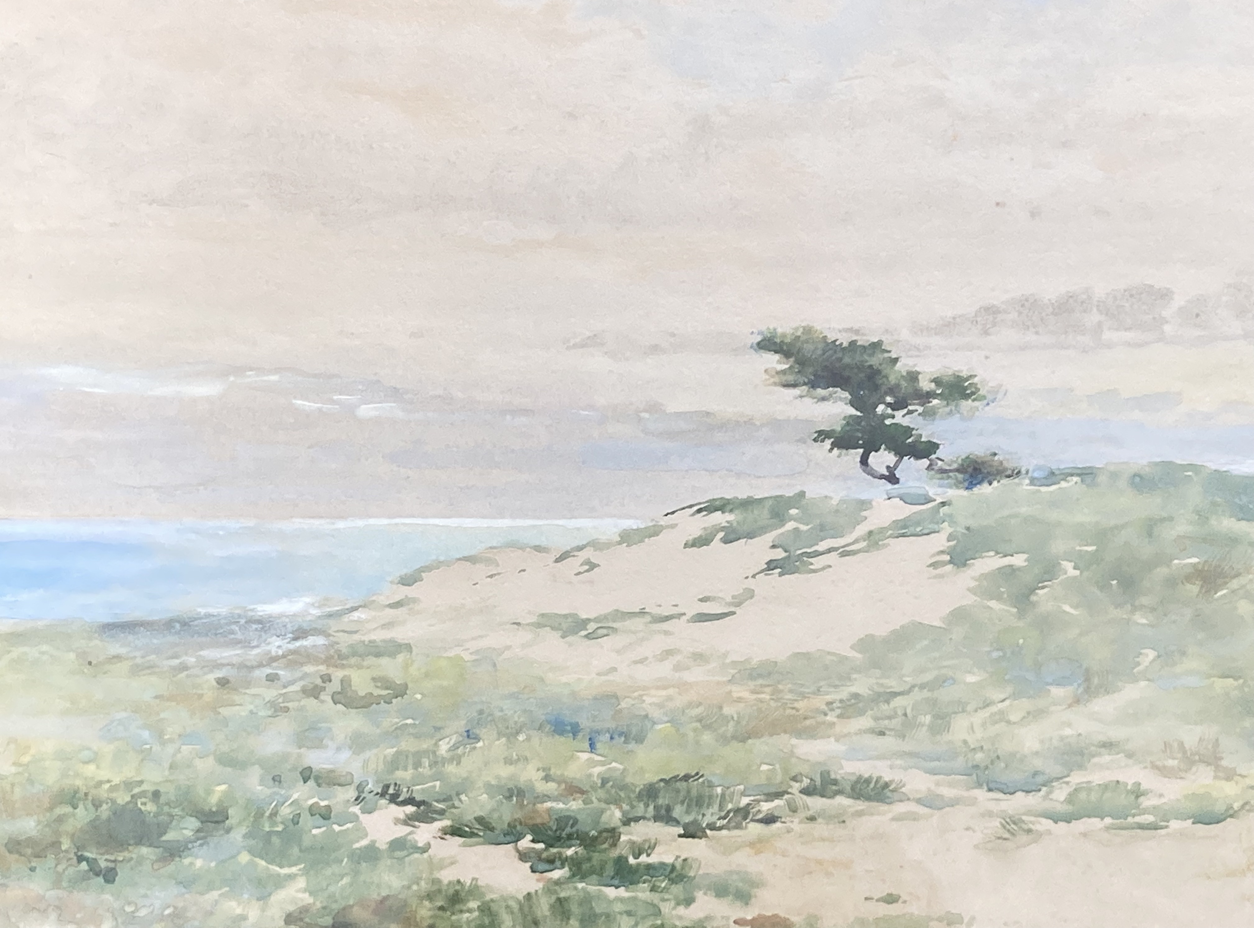 Maine Coast, Lone Tree, Mary K. Longfellow, Exhibited 1910 : D'Antan ...